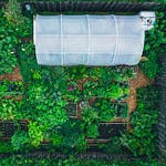 Huw Richards | Substack