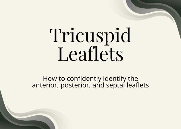 Tricuspid Leaflets Made Simple - The Echo Journal