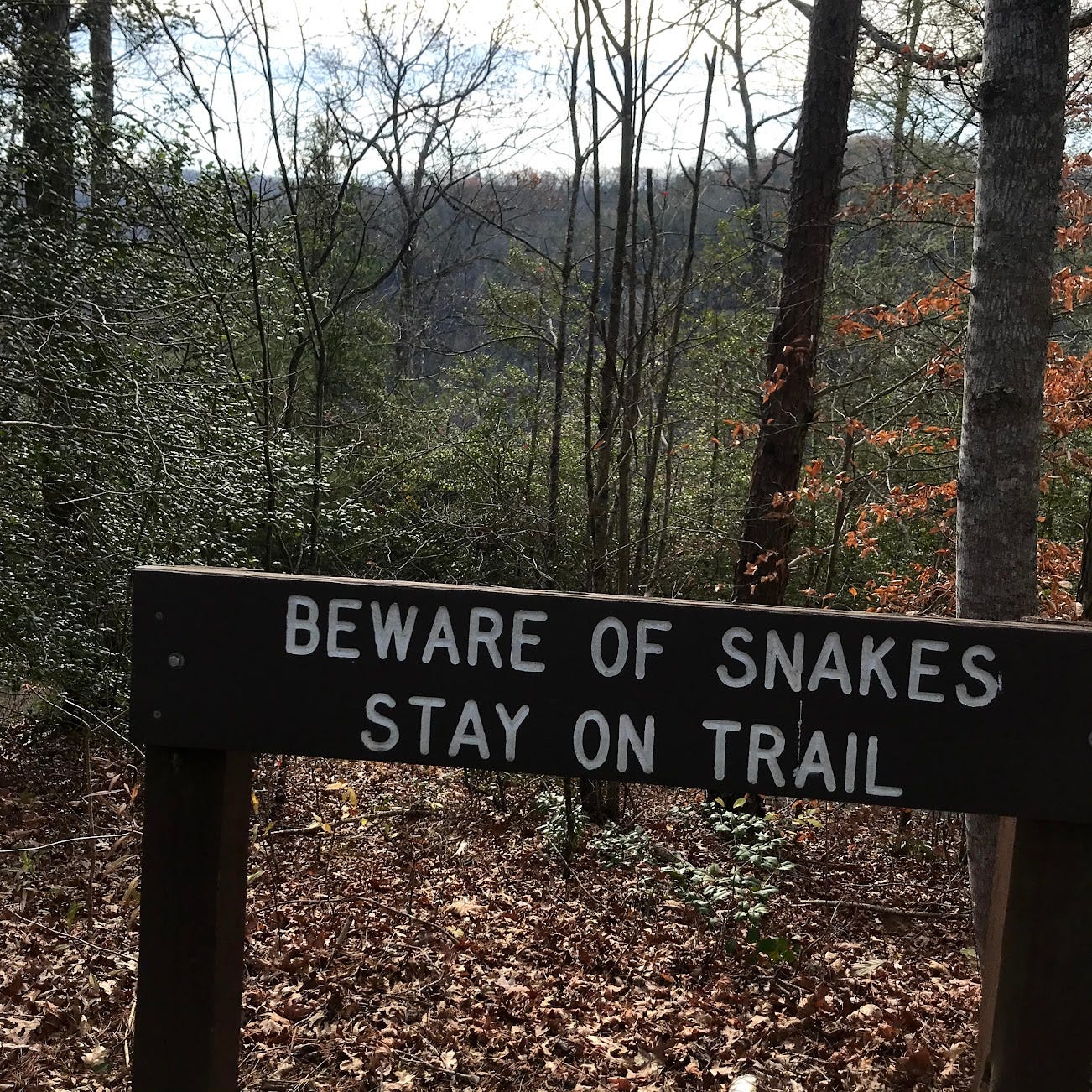Caudal Luring - by Jason Thienel - The Steepness