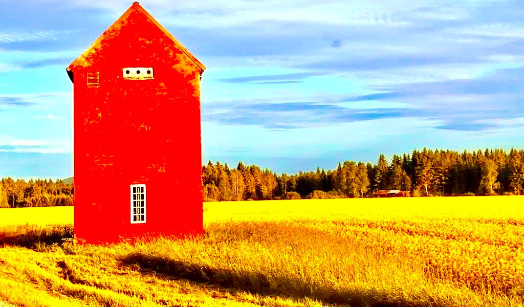 BREV 308 – SVT och Gazaporren. - Brev från Jens Ganman