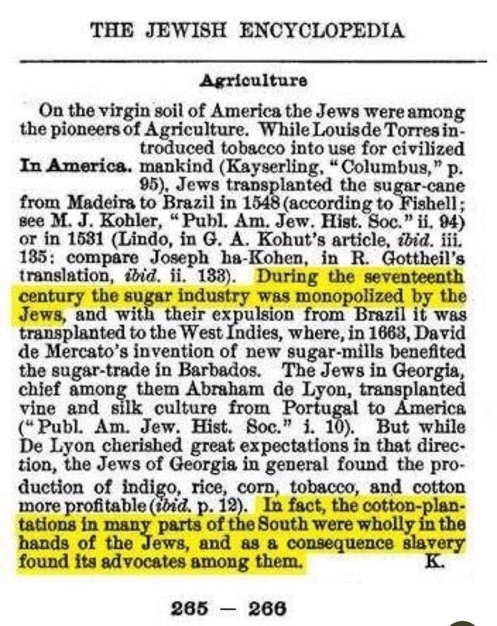 Candace Owens: Jews enslaved Blacks - by Robin Westenra