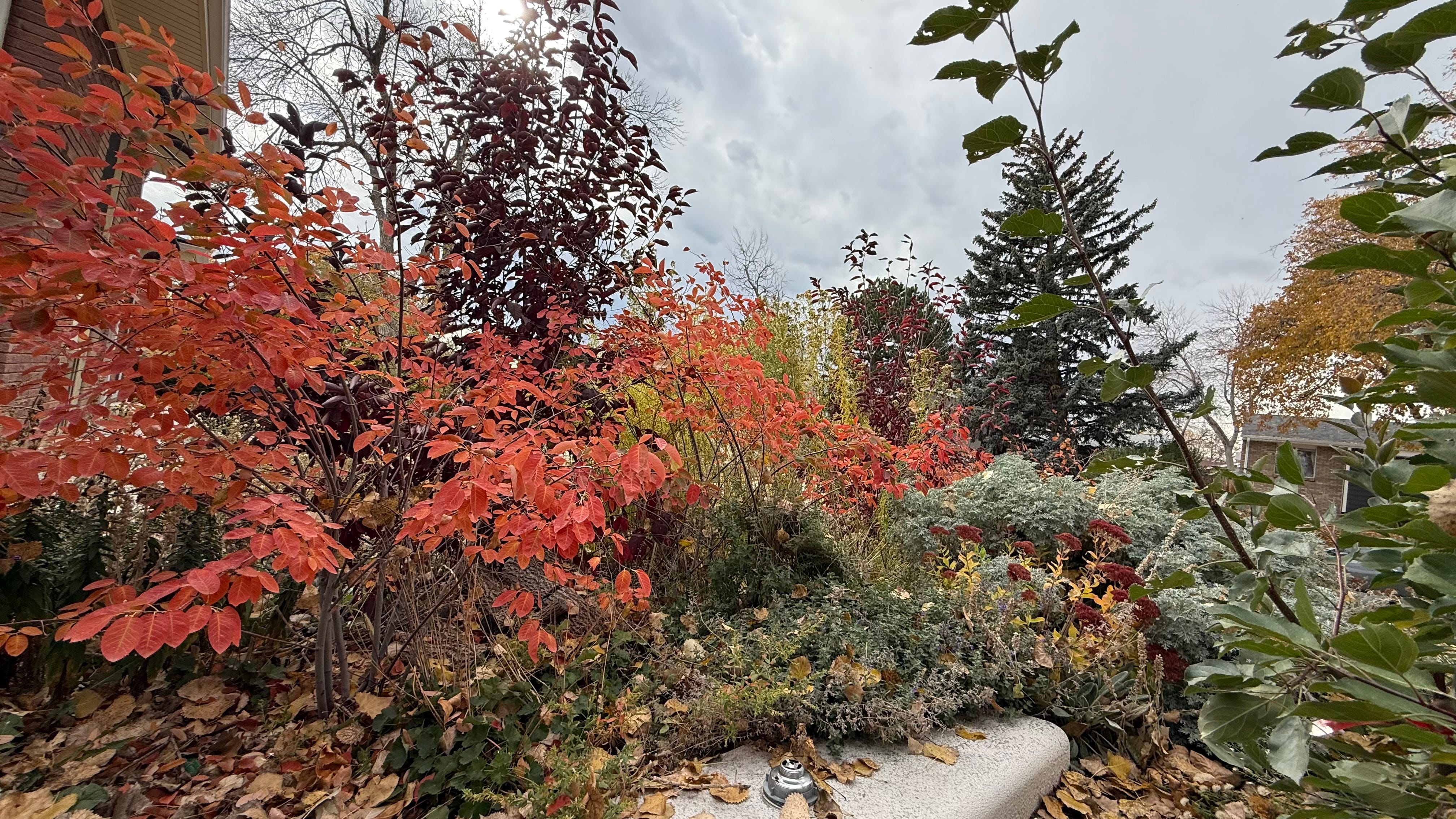 Winter Watering Tips