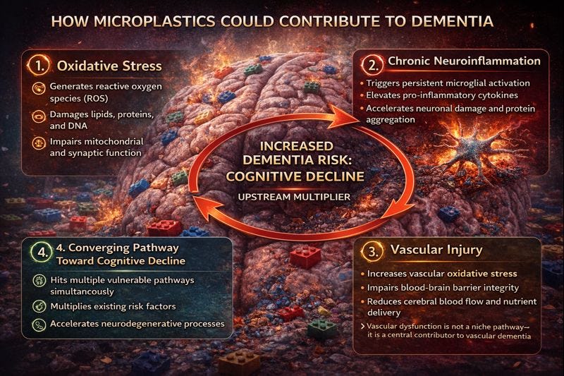 This Graph Changed How I Think About Dementia