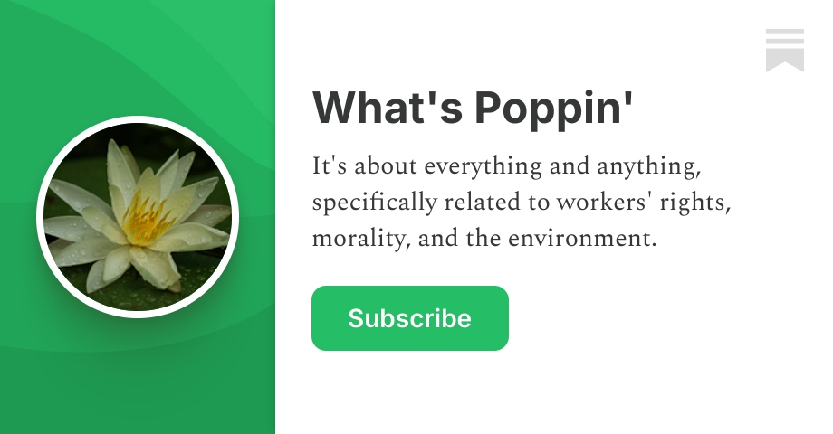 What's Poppin' | Bella Bee | Substack
