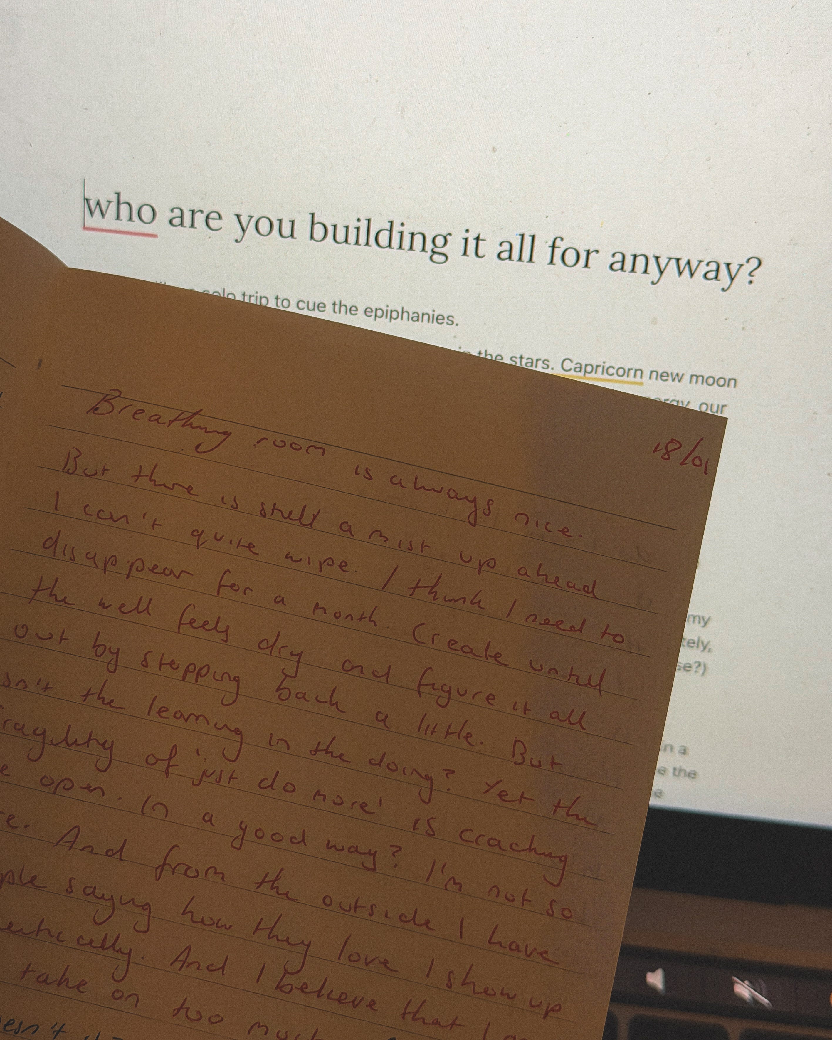 Who Are You Building It All For Anyway? - by Amelia Faye