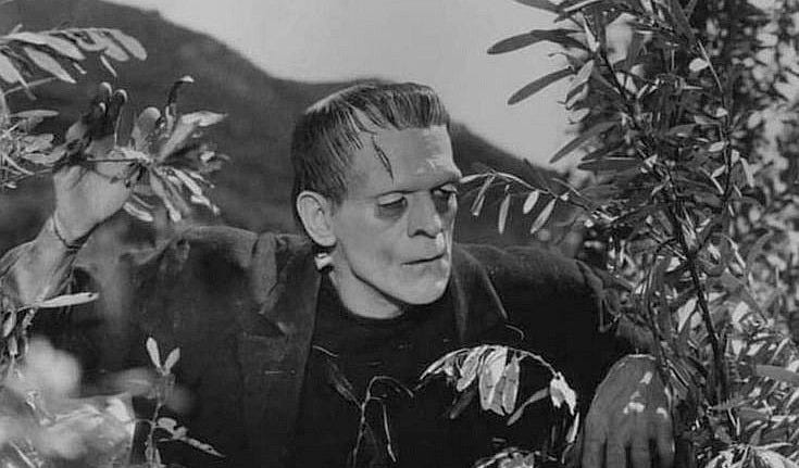 The Absent Creator: Victor Frankenstein and the Ethics of Paternal ...