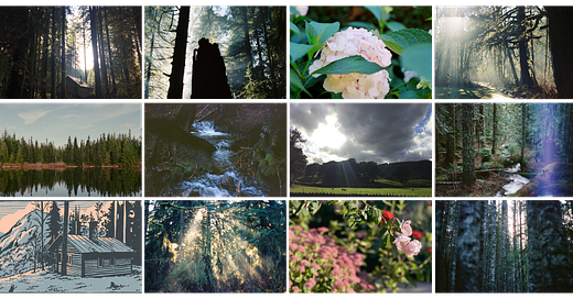 Fog Chaser | Substack