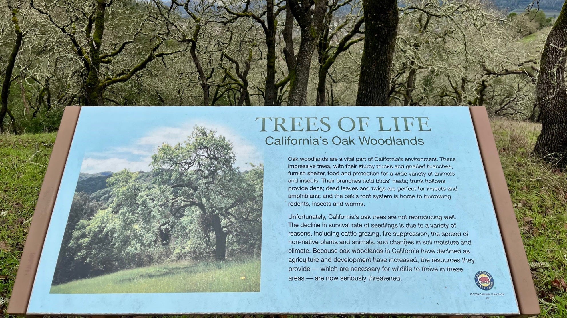 Power-mongering... Peace-making Possible?