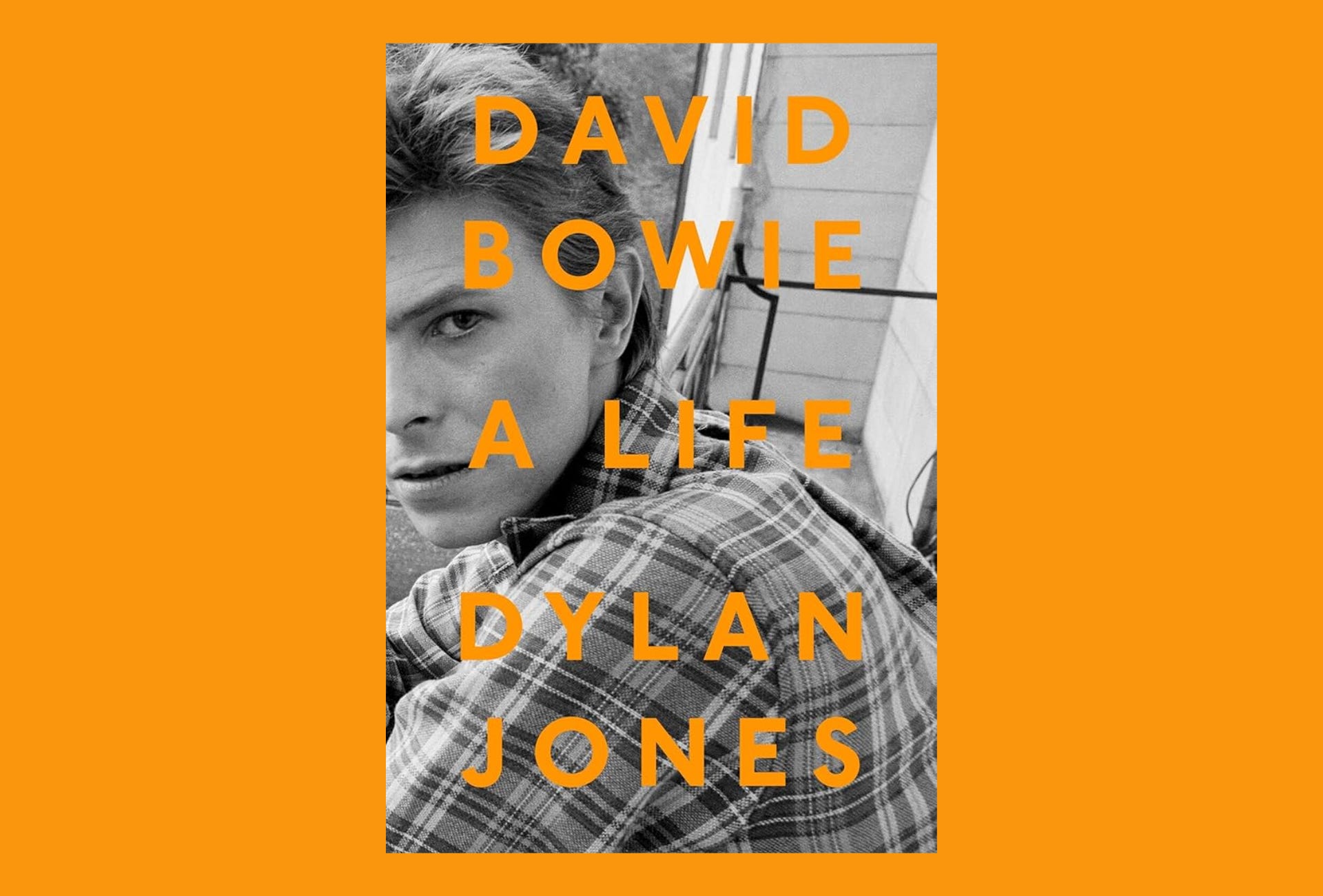 🧑🏻‍🎤 Zeladoria: David Bowie - Tá Todo Mundo Tentando