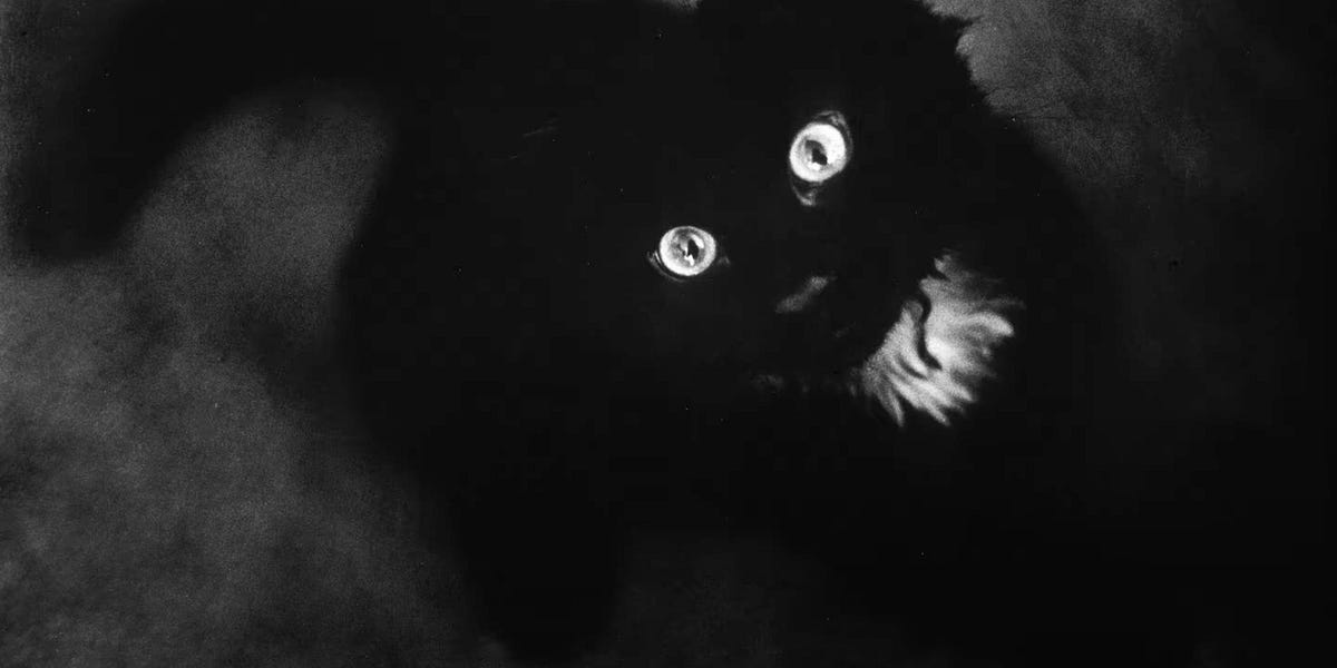 Brian Lav - PHOTOSNACK