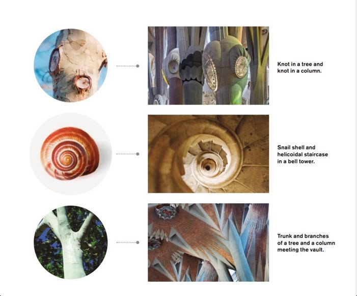 Antoni Gaudí – The ceilings and pillars of La Sagrada Familia