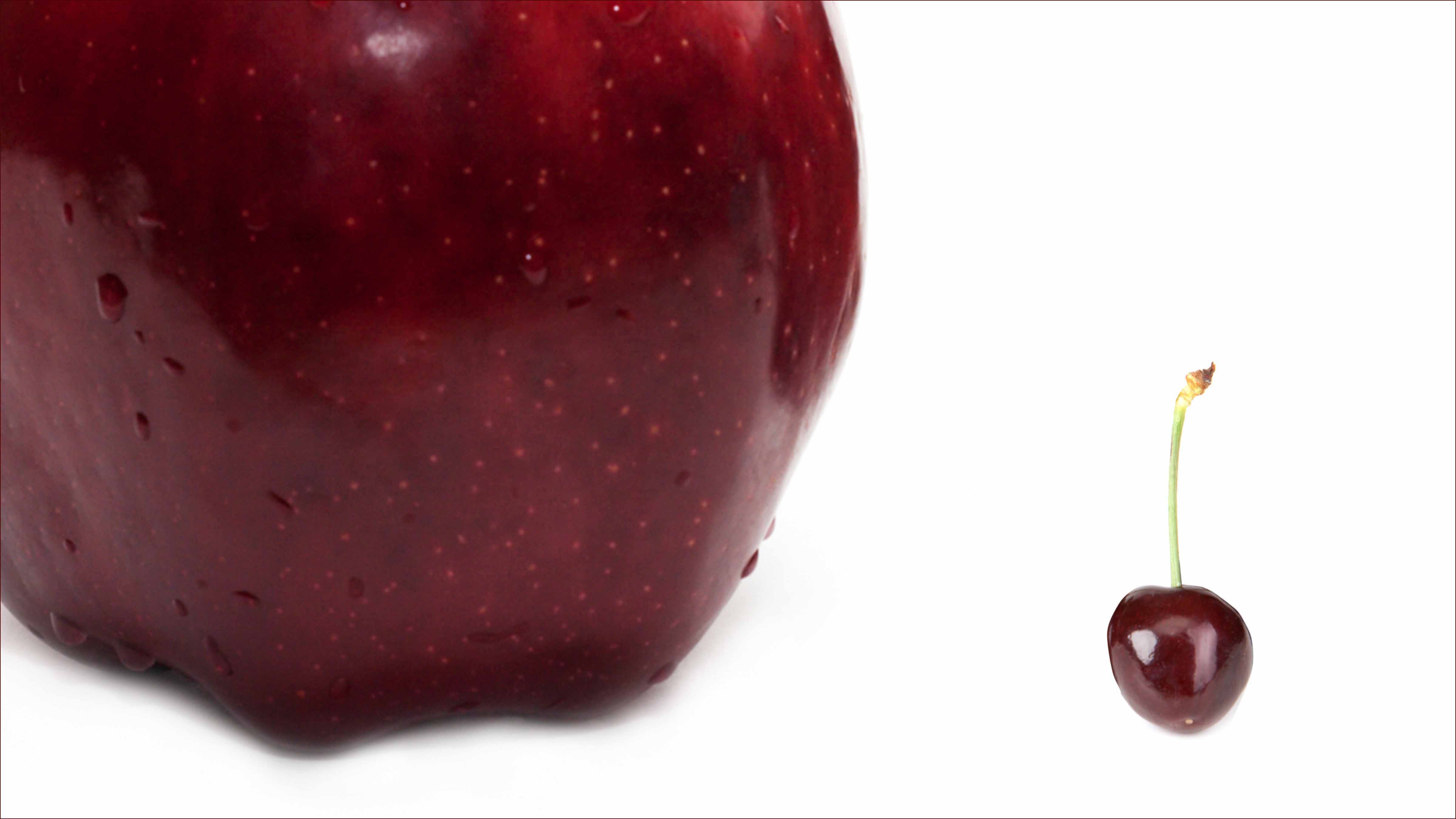 Spit out "a second bite at the apple" - by Tom Scocca