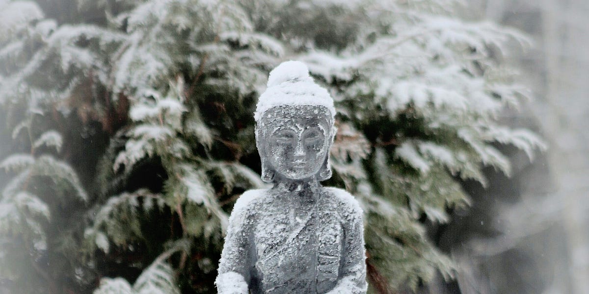 Renewing a Vow In The Falling Snow