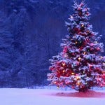 Getting the Tree - Kristan Higgins