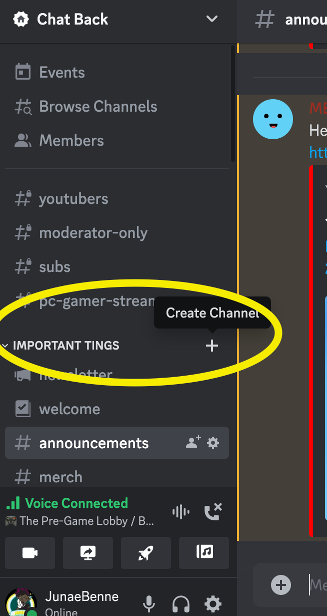 Discord's Announcement Channel Feature - by Junae Benne
