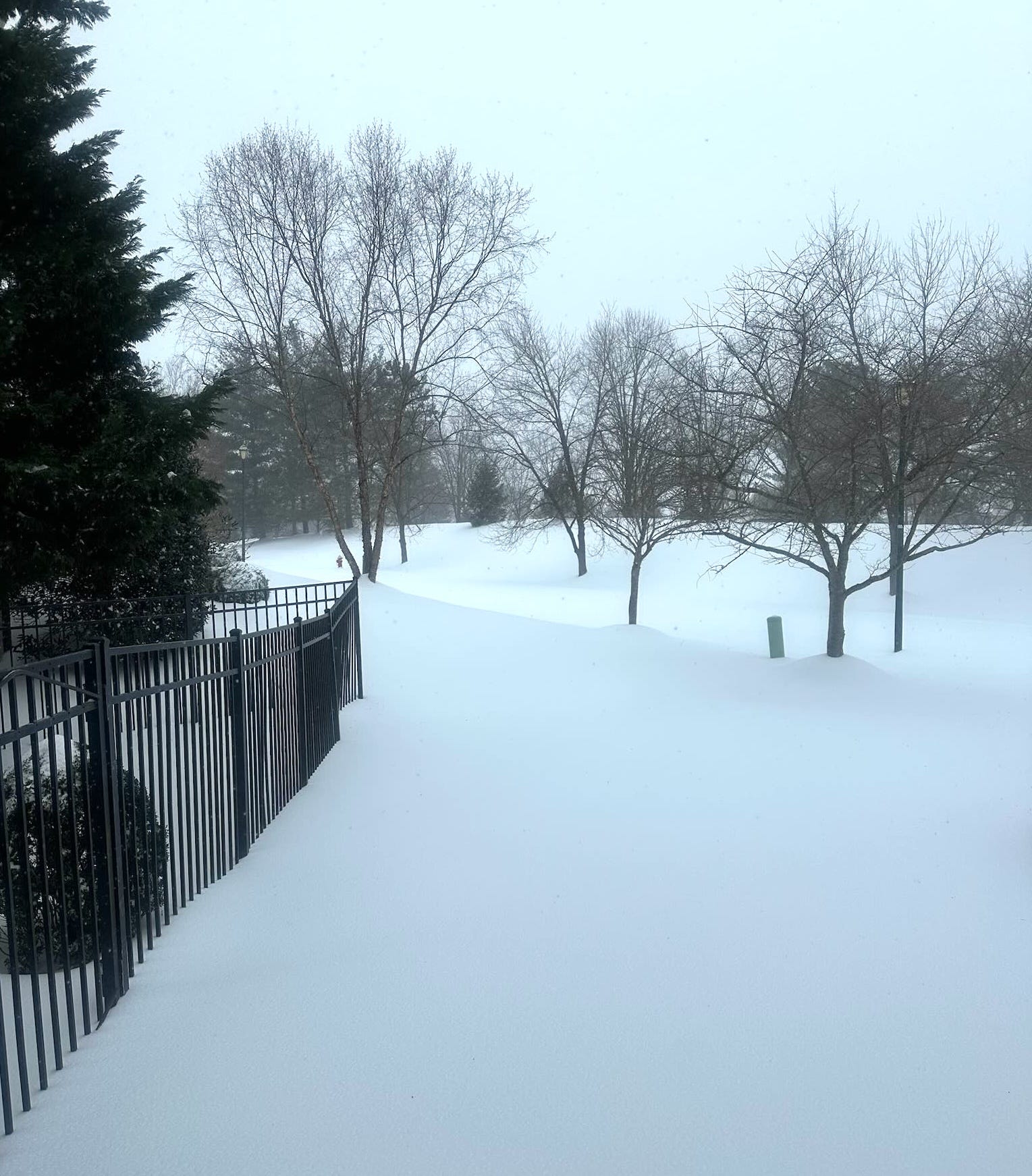 10 Virginia ︎ Snow Photos - BLACK VIRGINIA NEWS