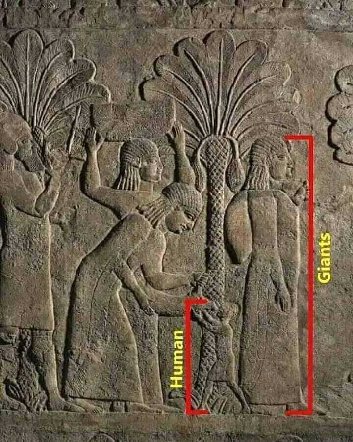 The Legacy of the Nephilim: Tracing the Fallen Ones Through Nine Ages