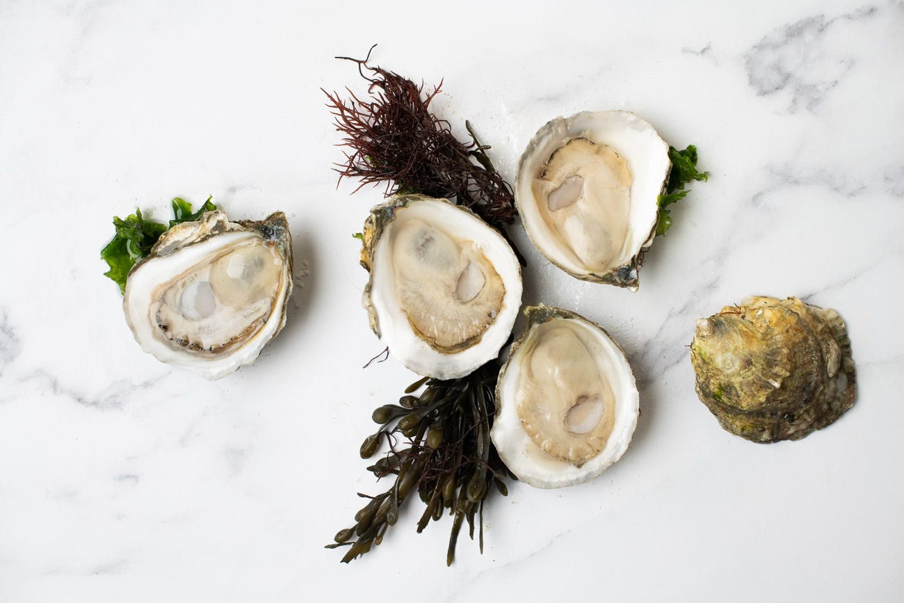 A Brief History of Oyster and Pearls