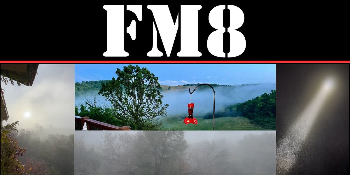 THE FOG CHRONICLE - by FM8 and MellowKat - FM8’s Substack