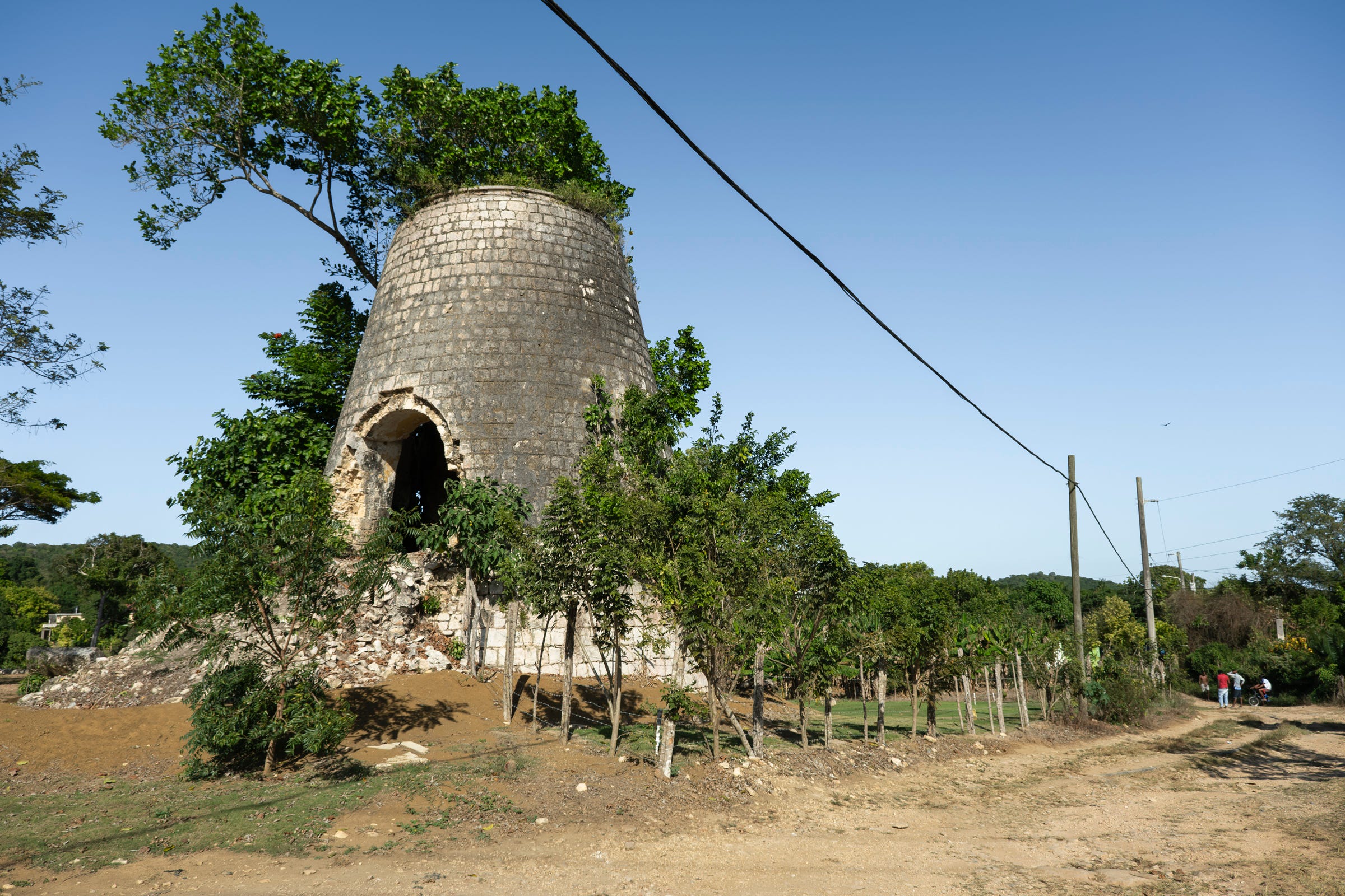 Green Park Plantation in Jamaica