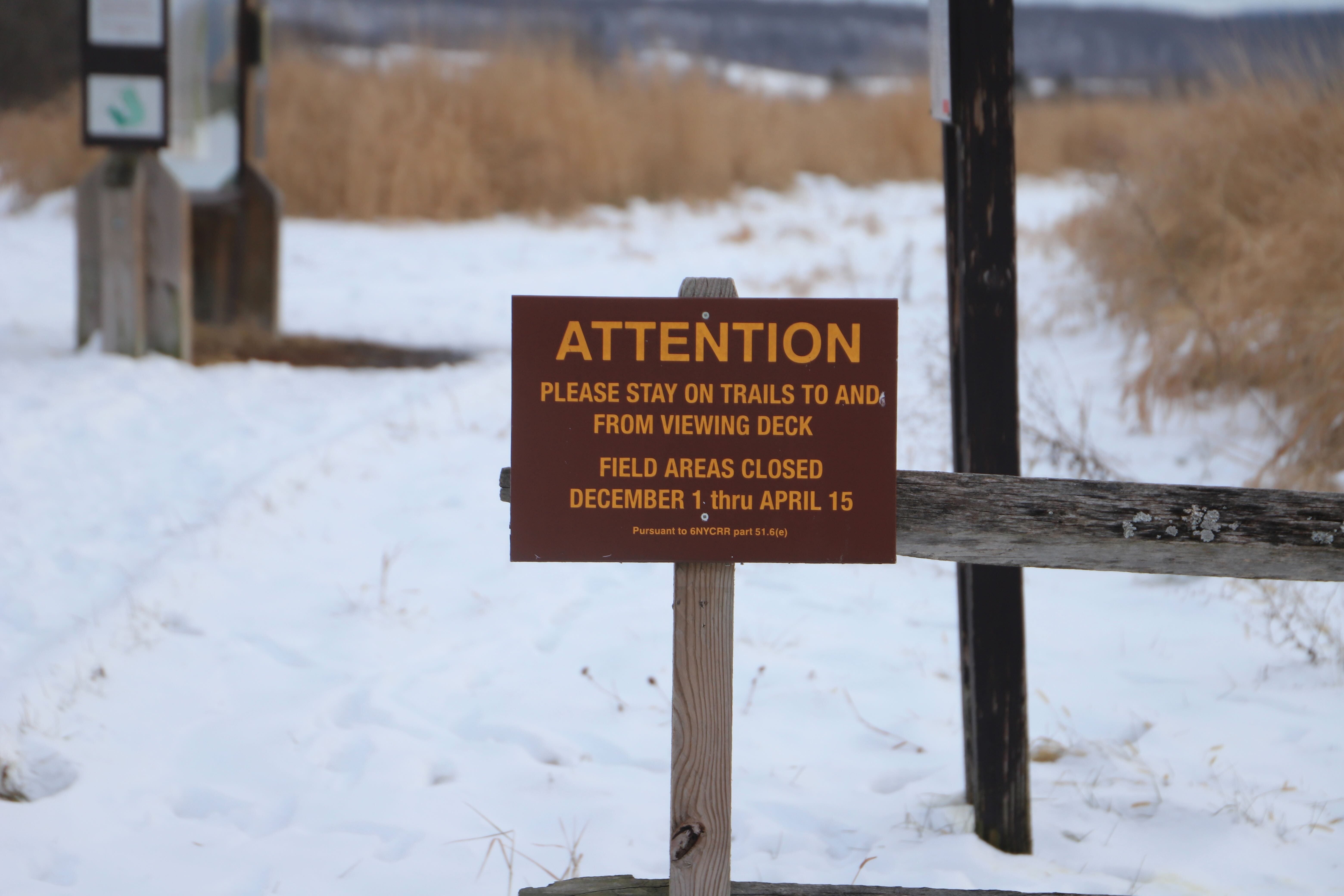 Alexandra Fasulo (@alexandrafasulo): ""Solar industrial complexes don't ...