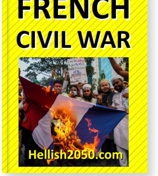 Civil war coming to France - Hellish 2050