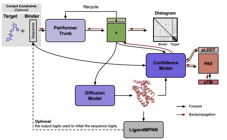 BoltzDesign1: A Computational Breakthrough in Protein Binder Design