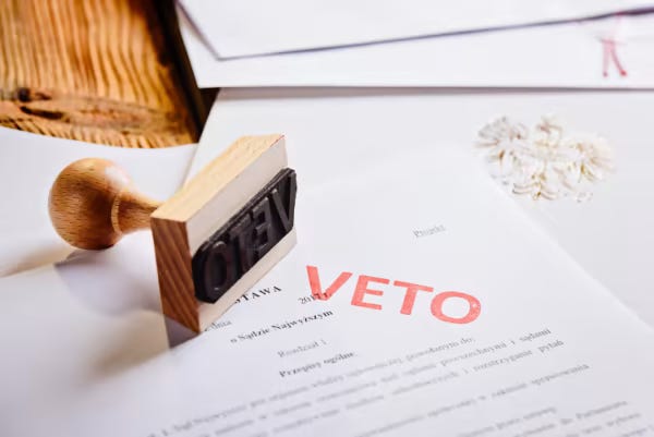 Veto Day Explained: What Happened and How I Voted