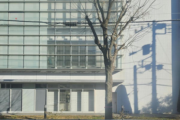 yrsa daley ward substack