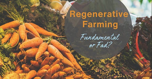 Shell’s Substack | Substack