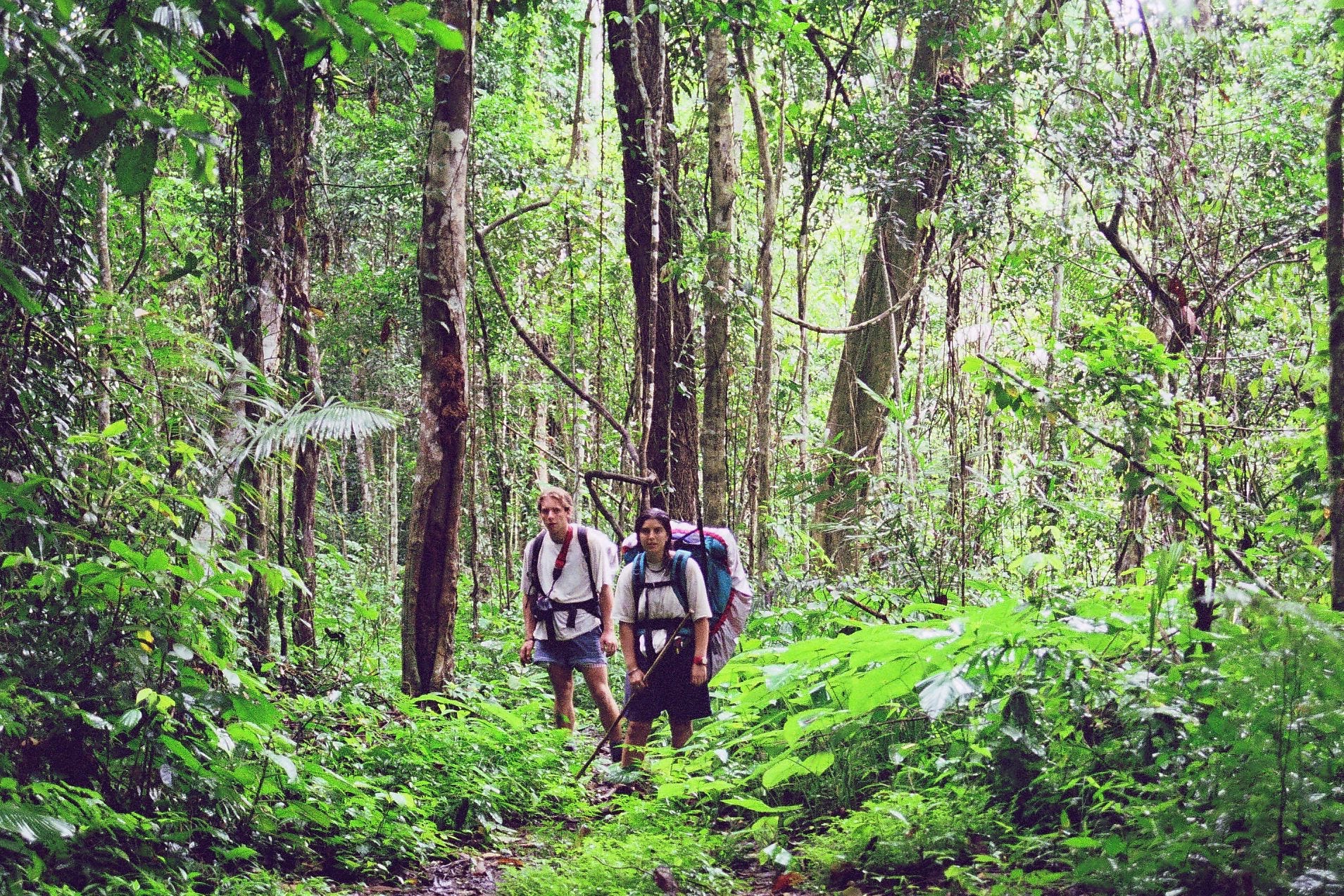 Truck fatalities and the "Dunki" route