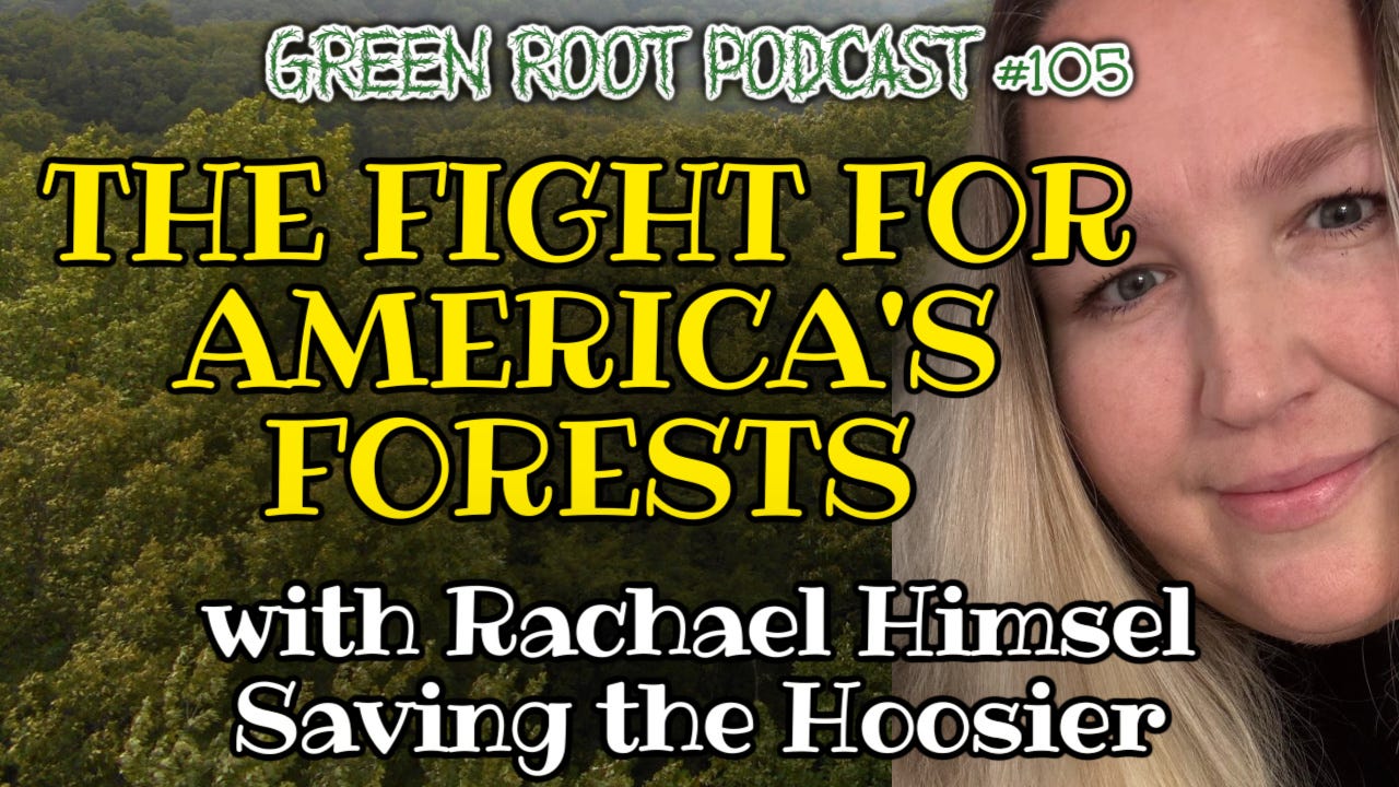 Green Root Podcast #105: THE FIGHT FOR AMERICA’S FORESTS (with Rachael ...