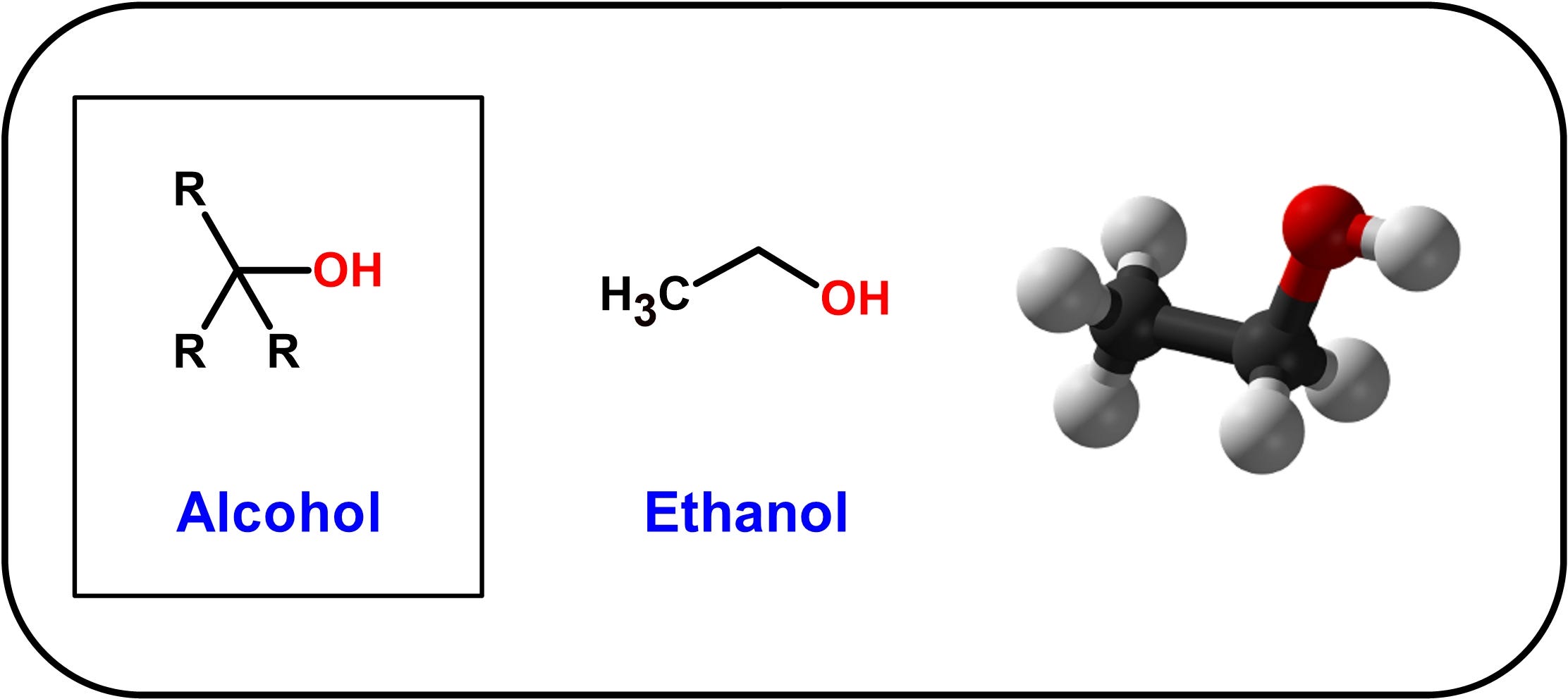 The Chemistry of a Hangover: A Metabolic Deep Dive