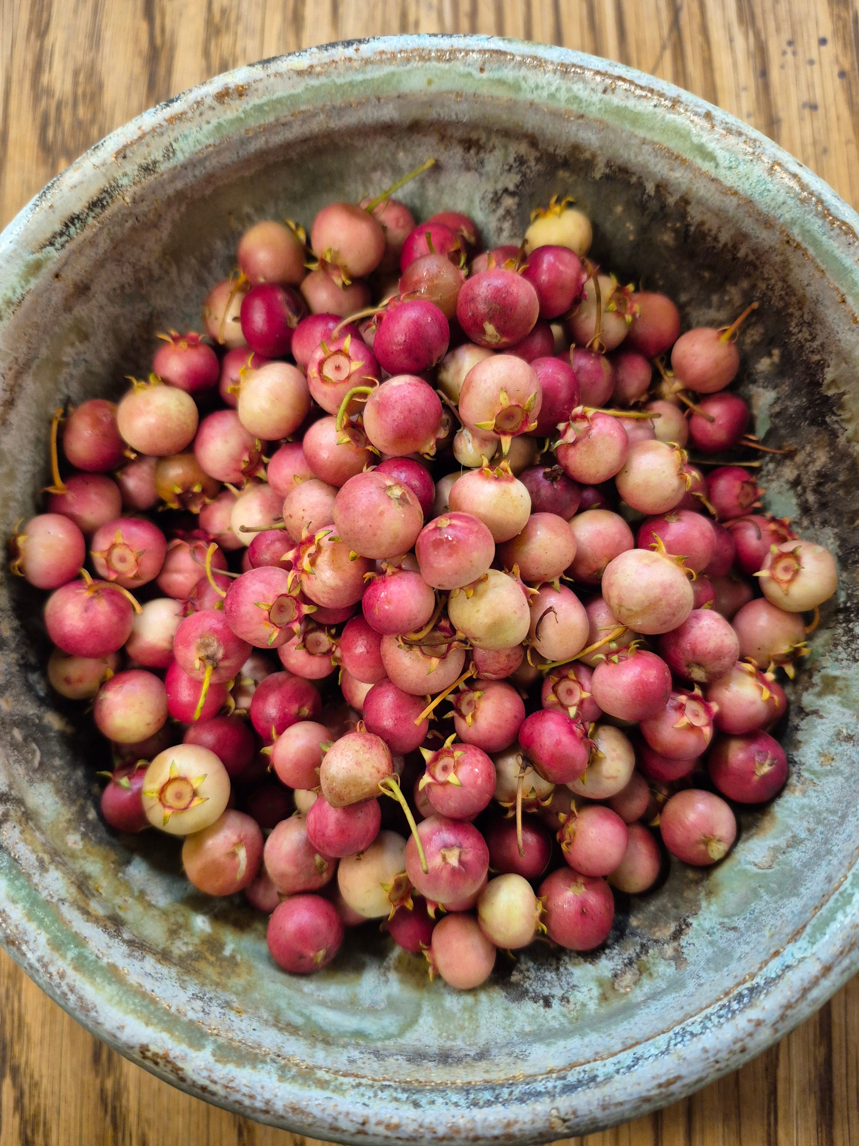 Guava Berries and the Future of Irish Fruit - by Jp McMahon