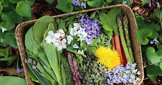 Practical Self Reliance | Ashley Adamant | Substack