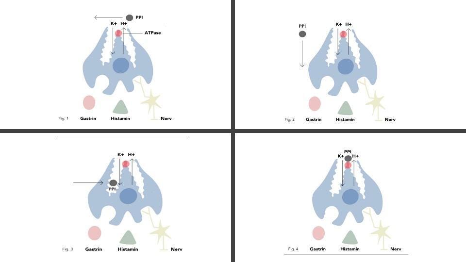 Mini-Review on Proton Pump Inhibitors PPI with Focus on their Mechanism ...