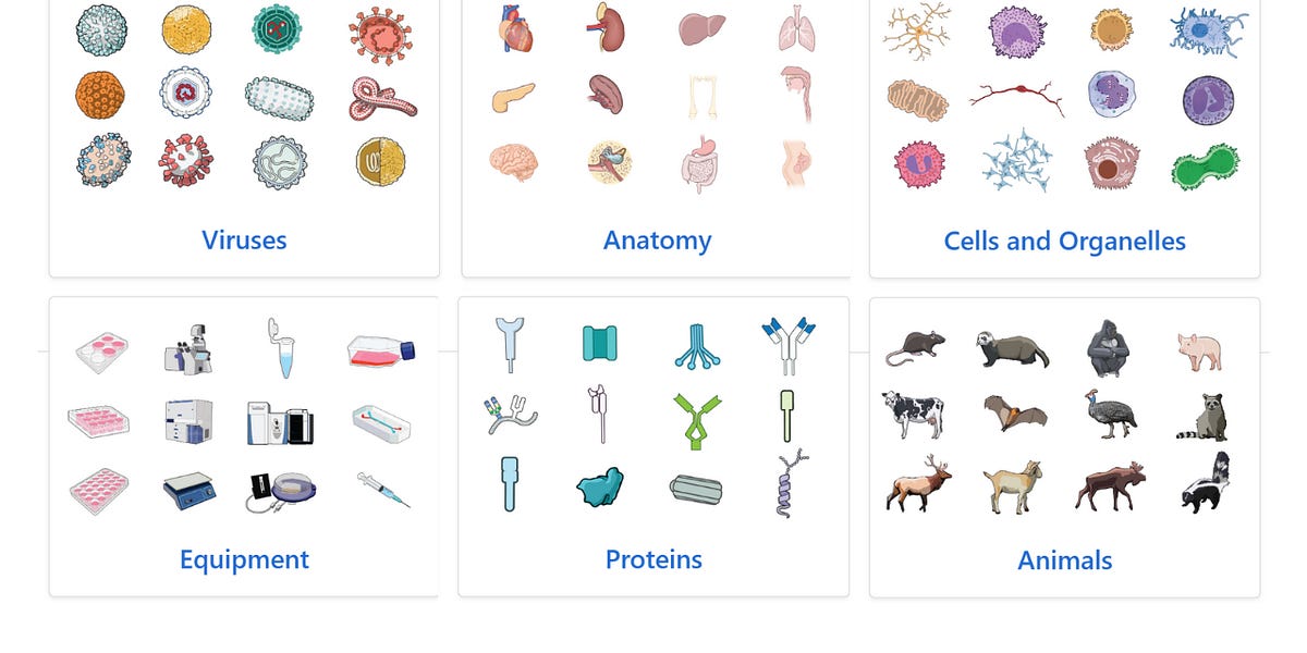 Free Biology Scientific Illustrations - by Rafeeque Mavoor