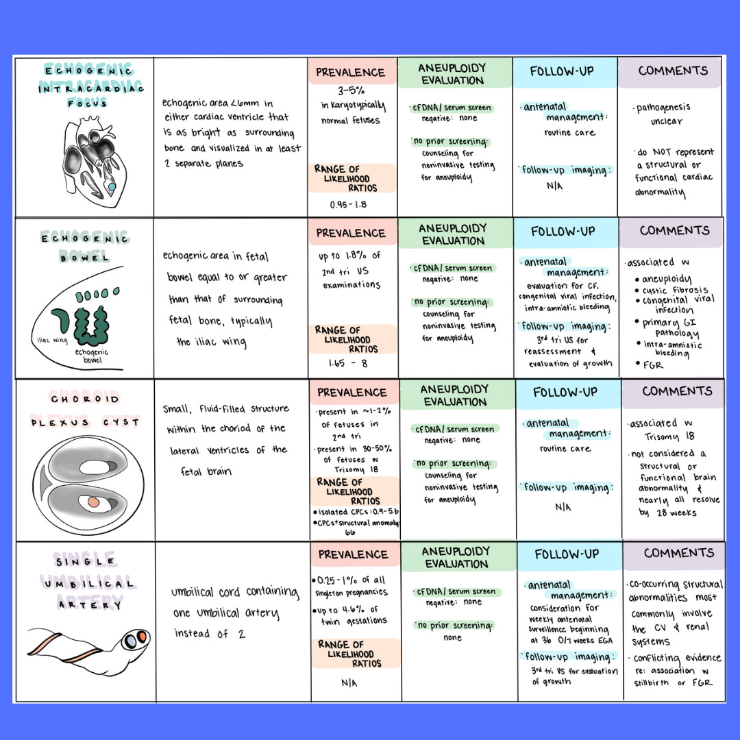 Fetal Ultrasound Soft Markers - Babies After 35