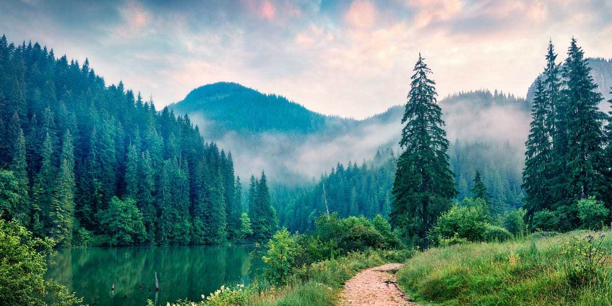 Top 10 Reasons Why Being in Nature is Healthy