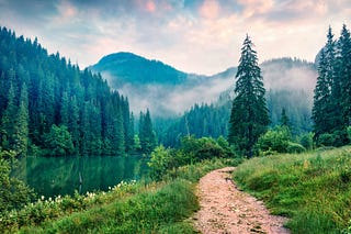 RxForLiberty | Dr. Jeff Barke | Substack