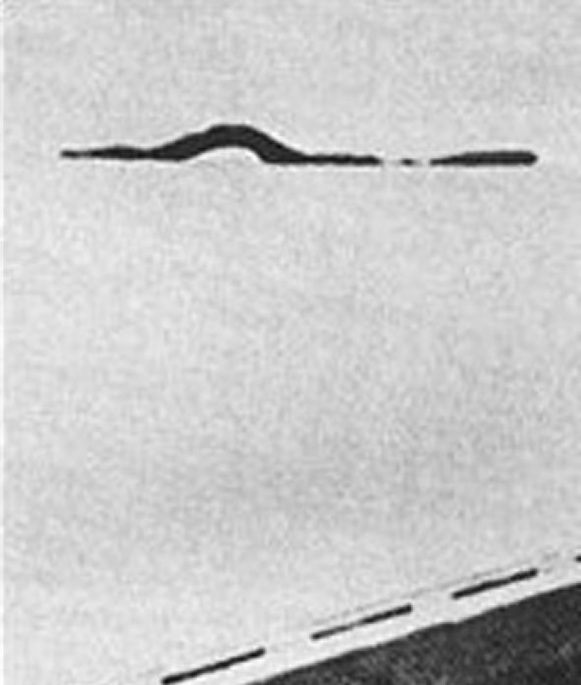 Manipogo: The Shallow-Water Monster That Deep-Diving Scientists Can't ...