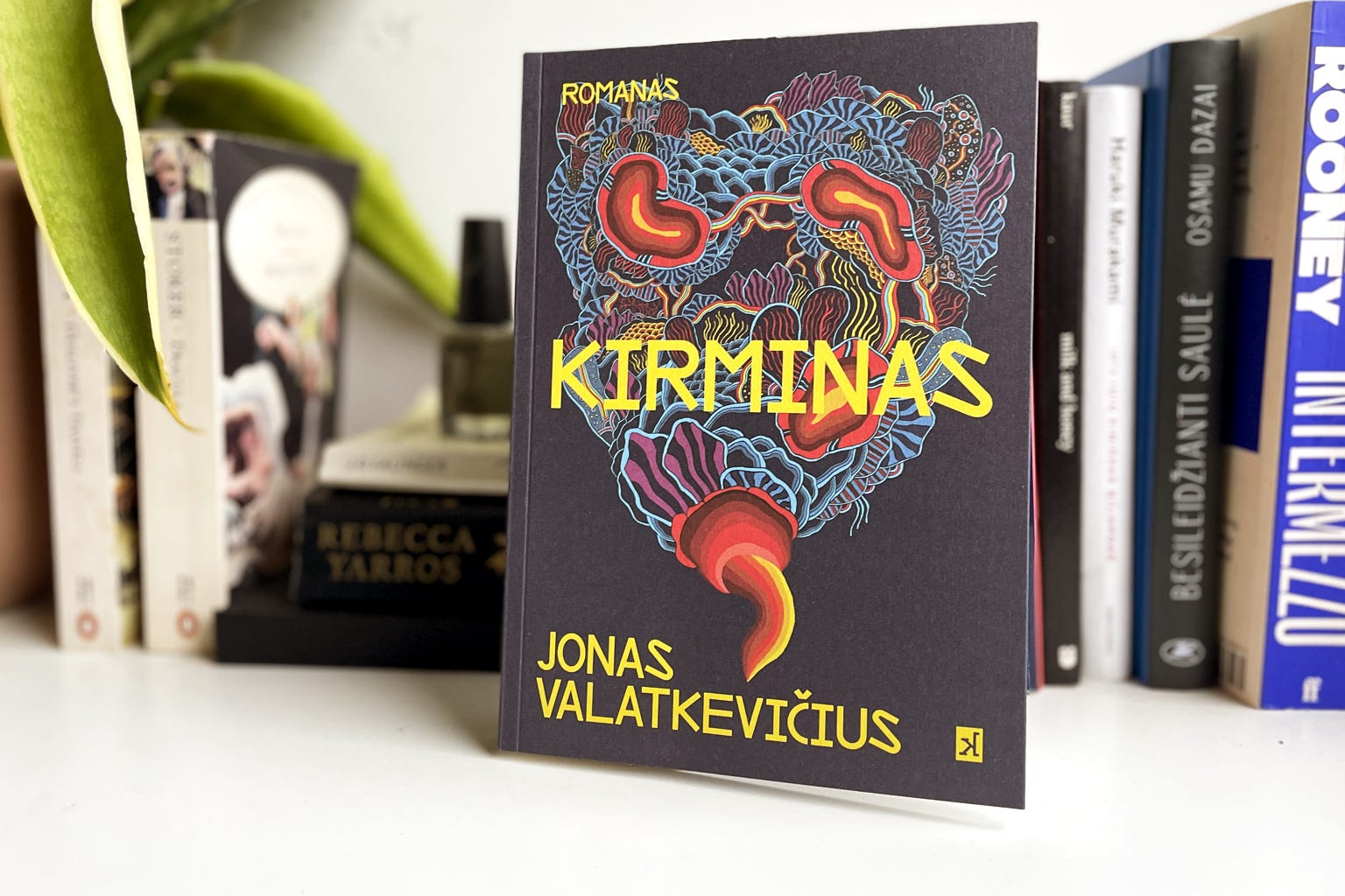 Kaip pa/rašyti romaną? - by Jonas Valatkevičius - KIRMINAS