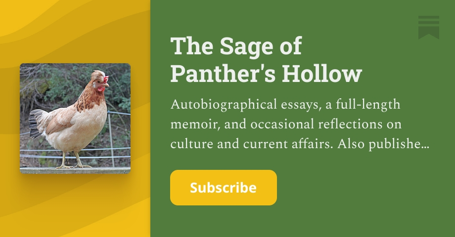 The Sage of Panther's Hollow | Jennifer Quinn | Substack