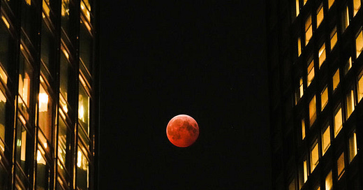 Sara's Fun Facts | Substack