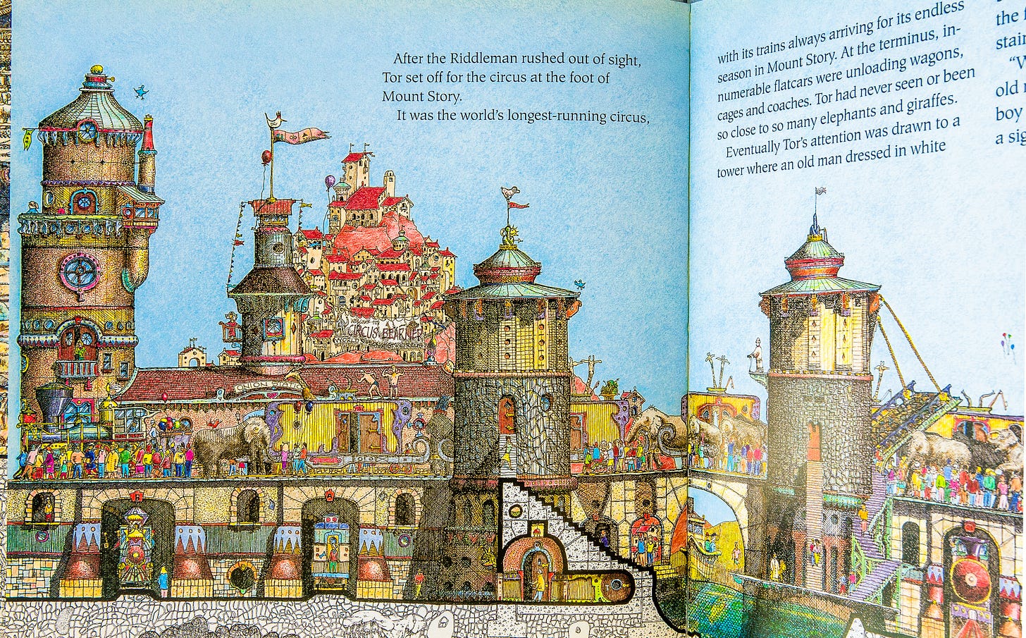 My favorite illustrated books for adults - Explore Your Worlds