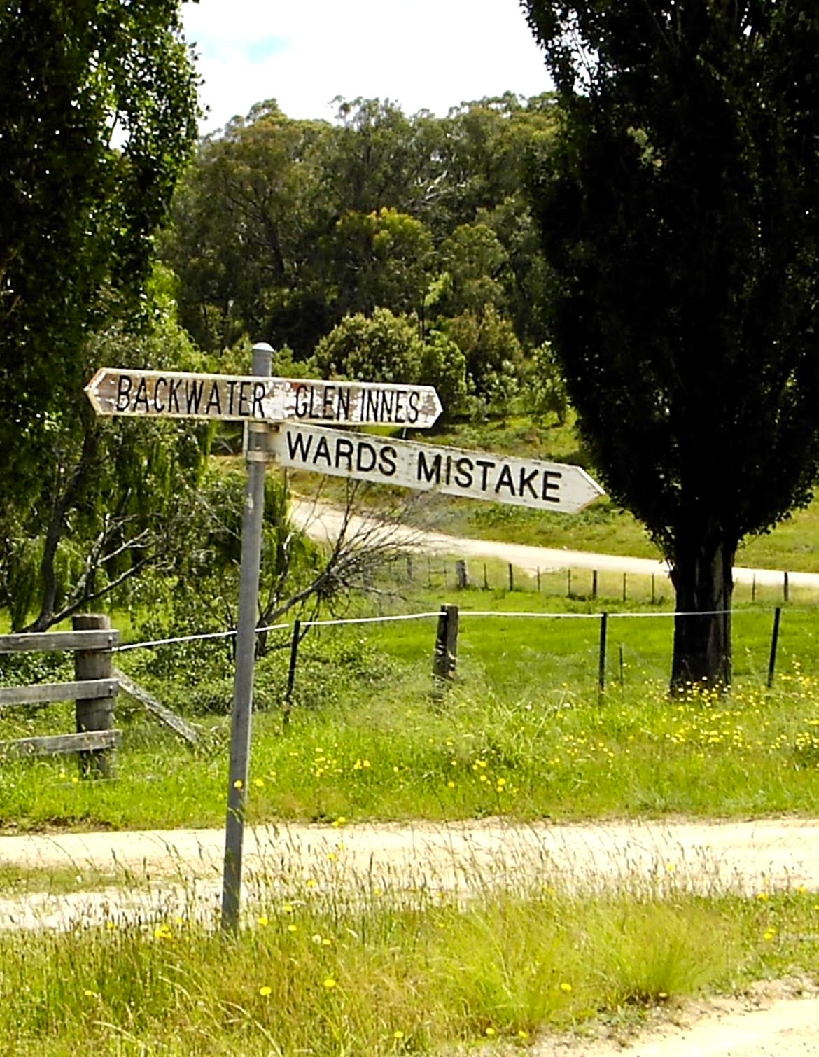 The Mystery of Ward’s Mistake - by Bob Neville