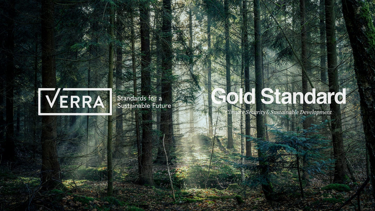 Who are Verra and Gold Standard? Why do they matter?