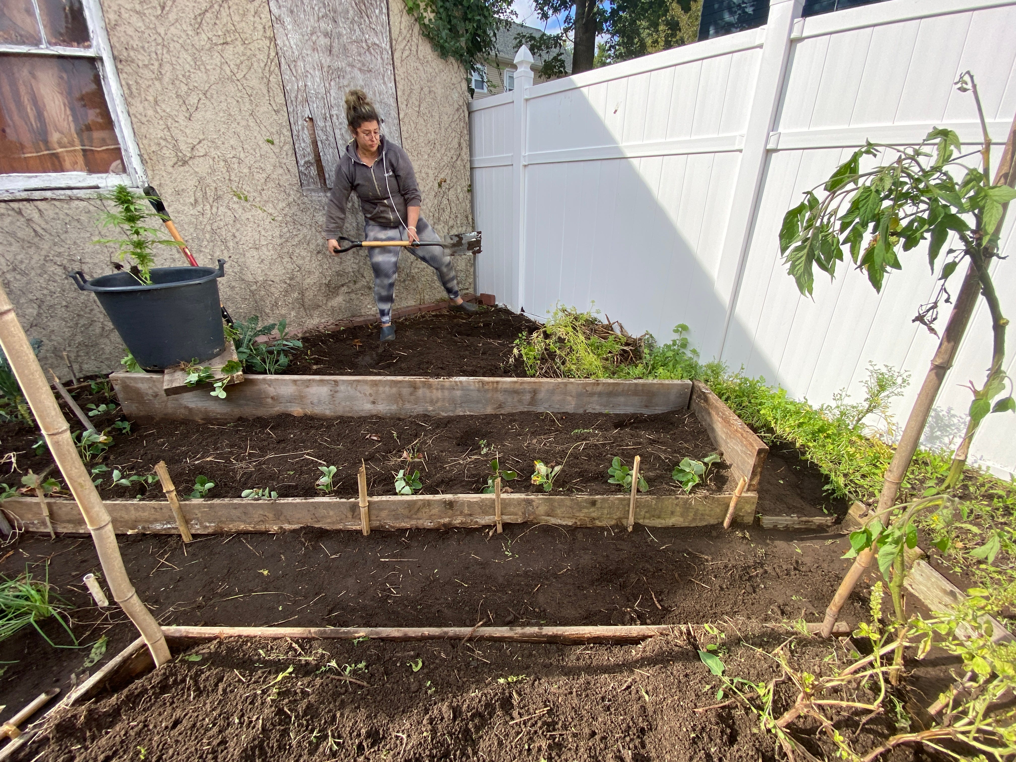 Think like a broke hippie chef to reduce food waste and save money