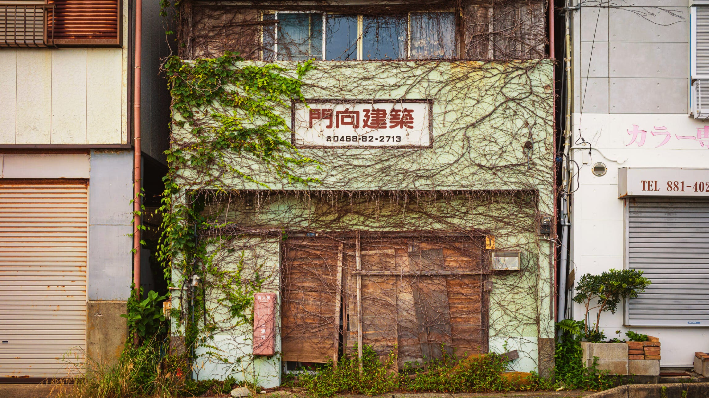 Loneliness in Japan - by Christopher Harding