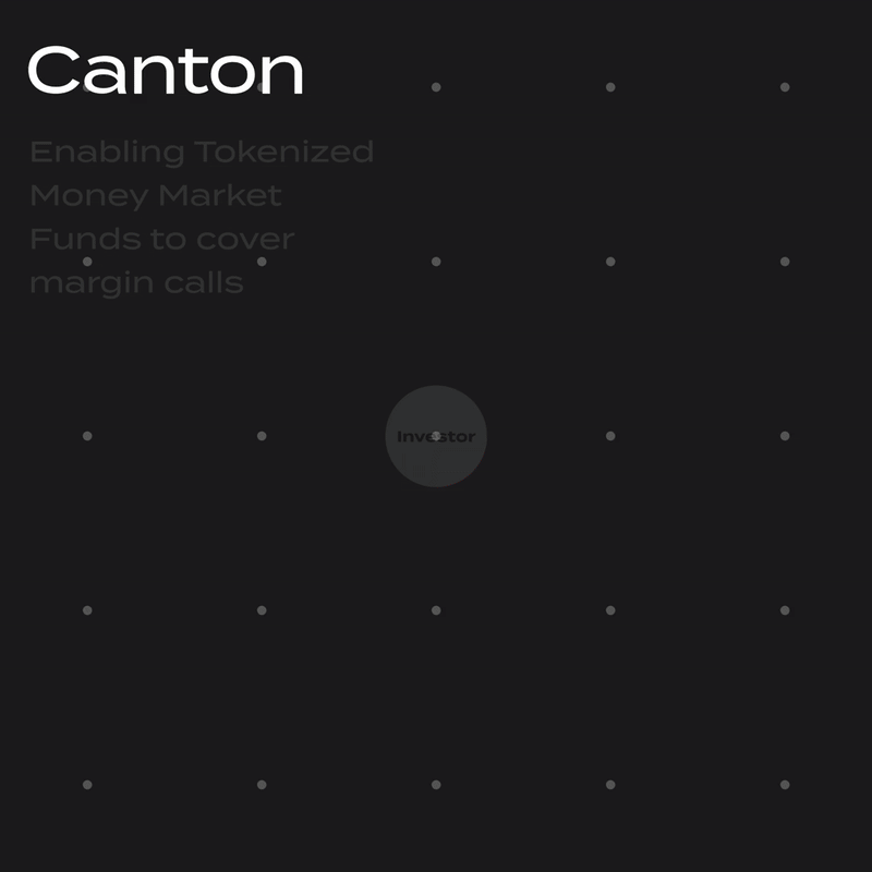 Canton Network 101 in Simple Terms - by Michael Hypov